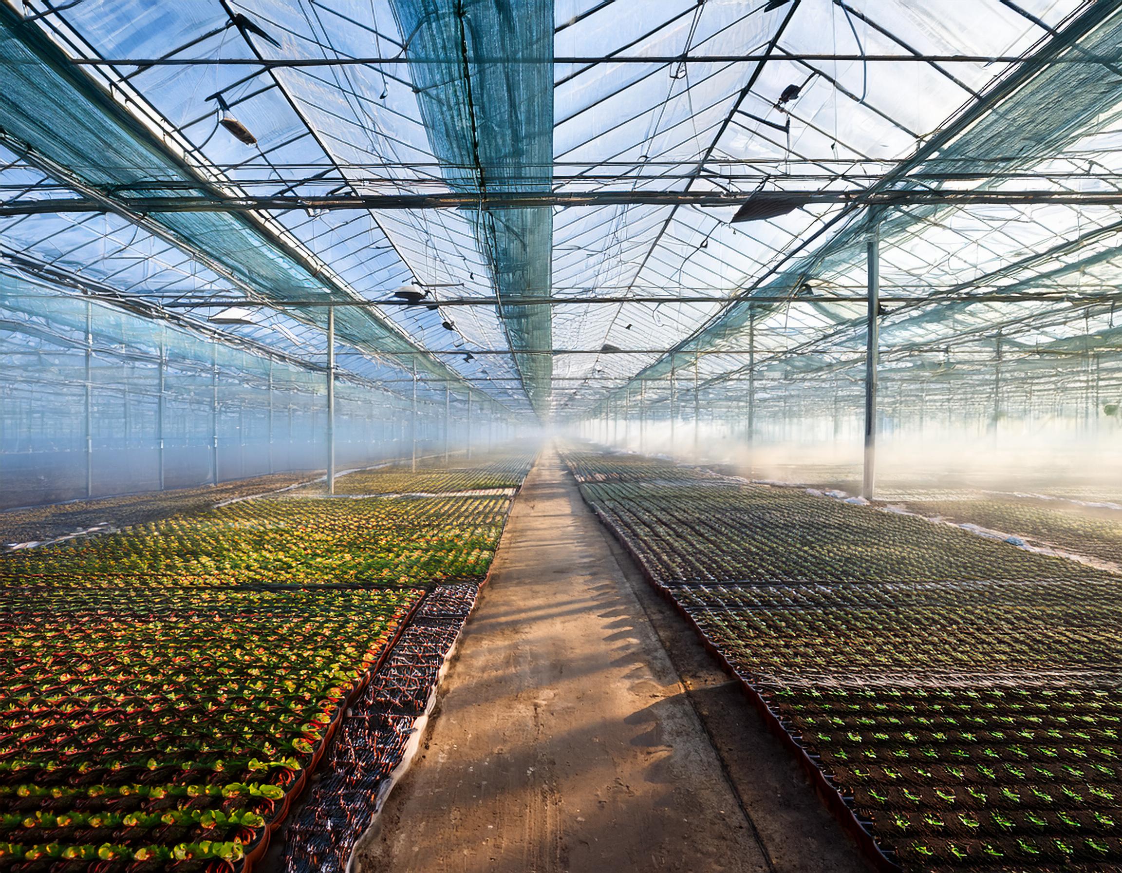Effective Greenhouse Cooling Methods for Hot Summer Months - Microcool